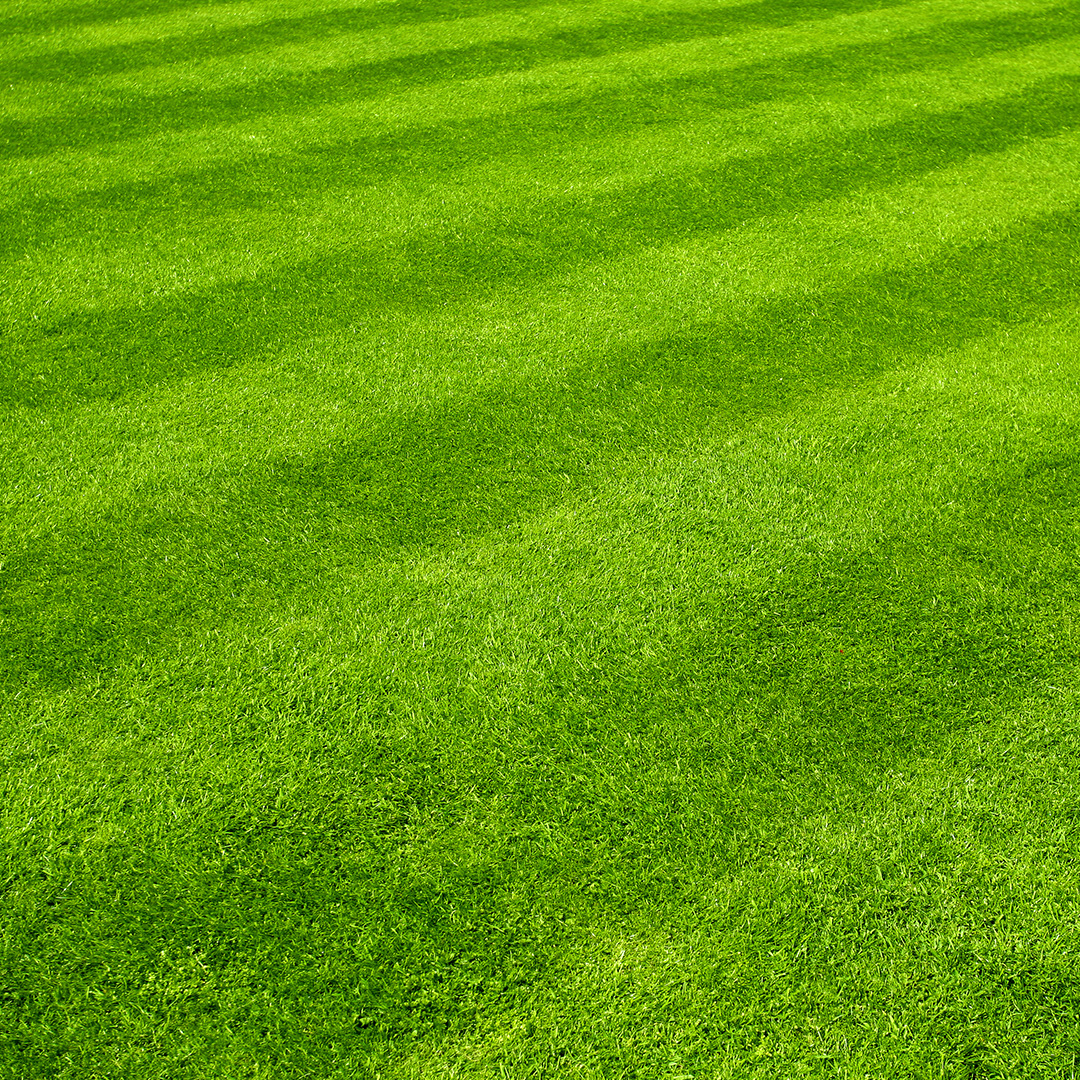 Mowers at affordable hire prices | A1 Slashing